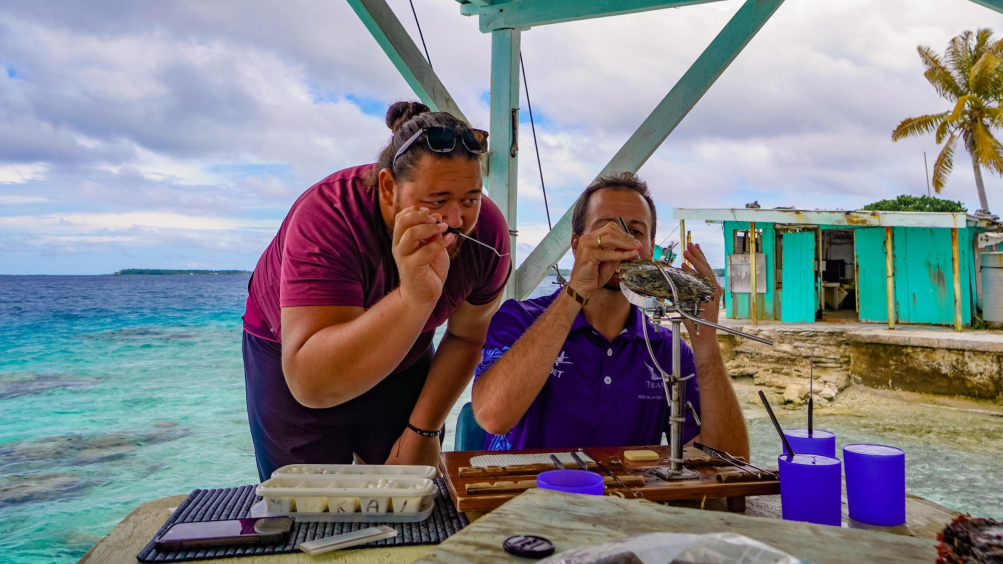 Kora Pearls | Cook Islands