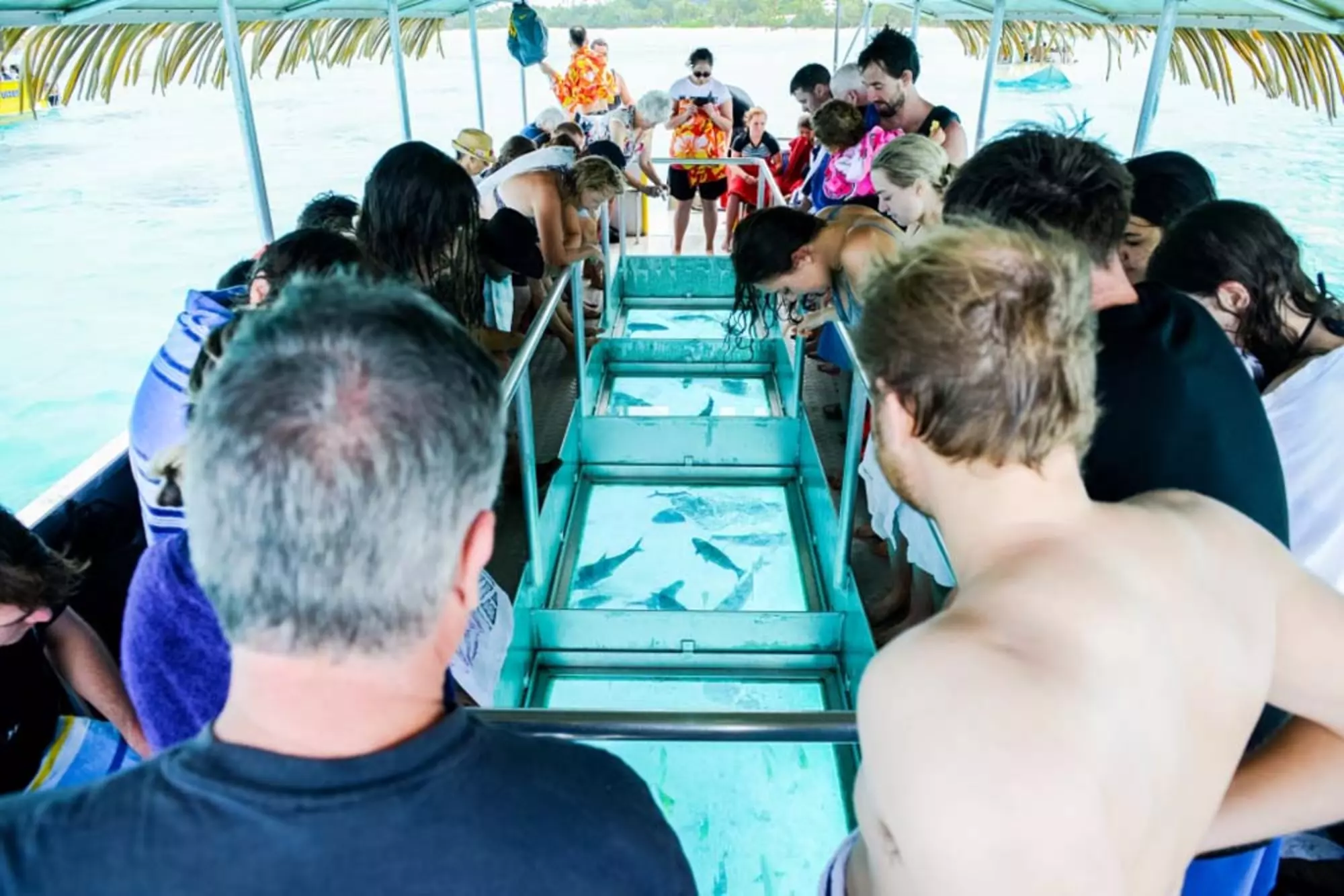 Captain Tama's Lagoon Cruizes & Aquasportz | Cook Islands