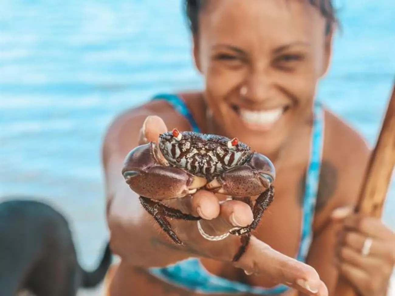 Turtle Tour Operator Partnership | Cook Islands